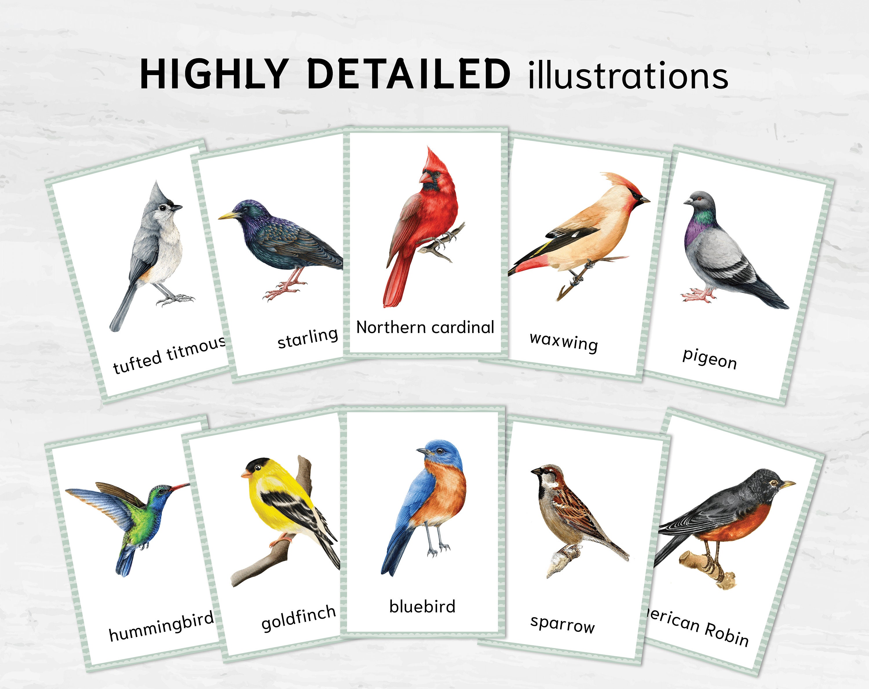 Backyard Birds Printable Flashcards - Montessori Educational Materials ...