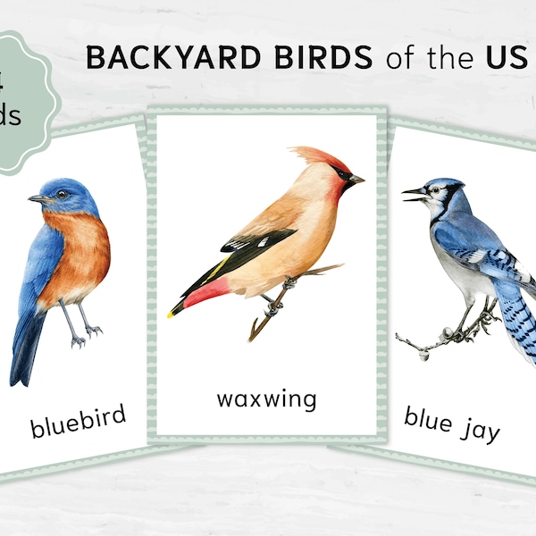 Montessori Materials - Etsy