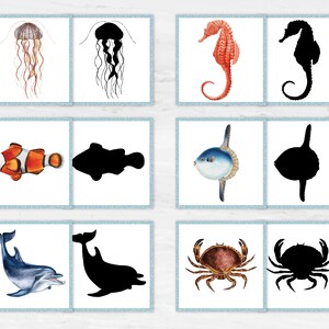 Ocean Shadow Matching Cards. Printable Watercolor Sea Animal Cards ...