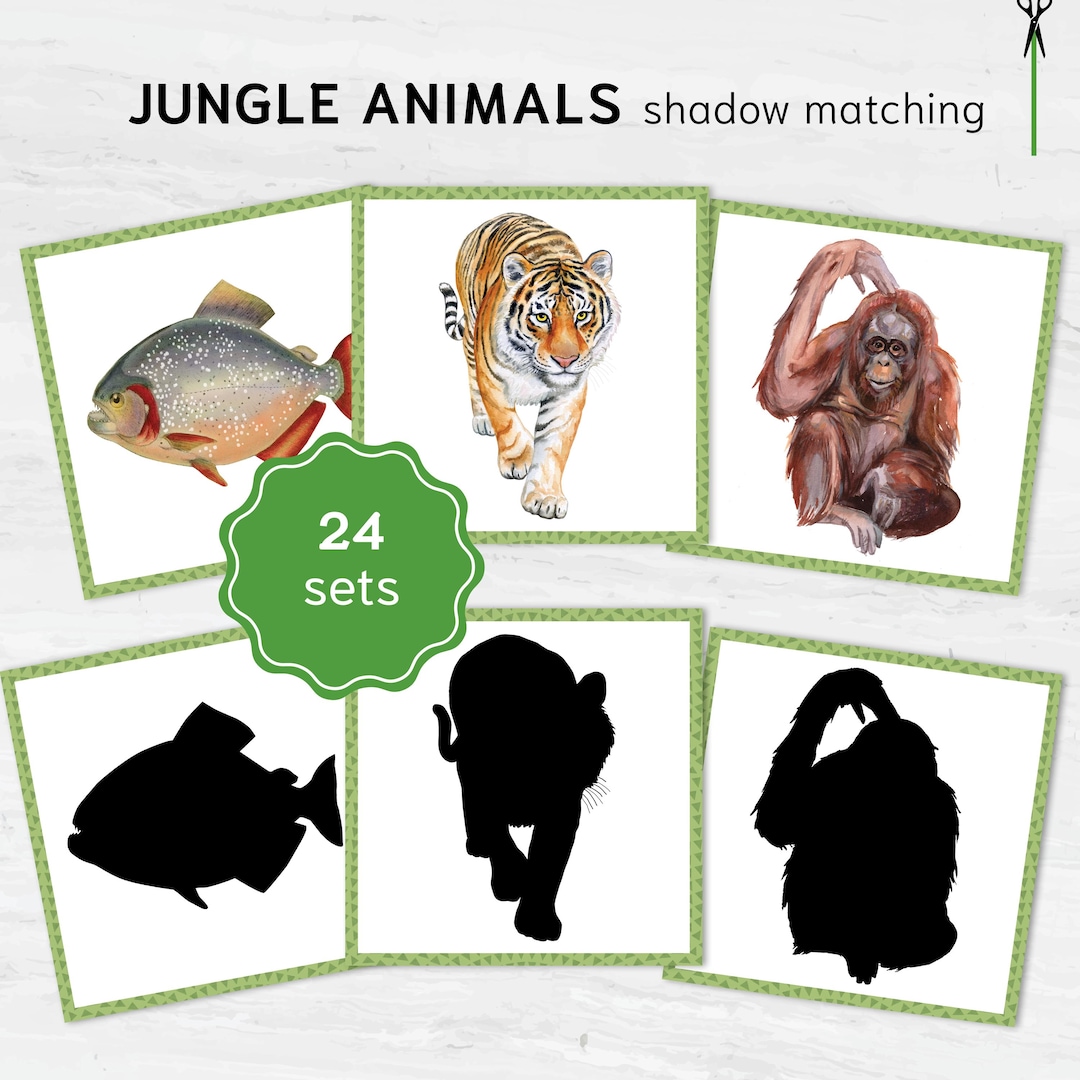 Rainforest Animal Shadow Matching: Jungle Montessori Match Activity ...