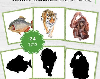 Rainforest Animal Shadow Matching: Jungle Montessori Match Activity ...