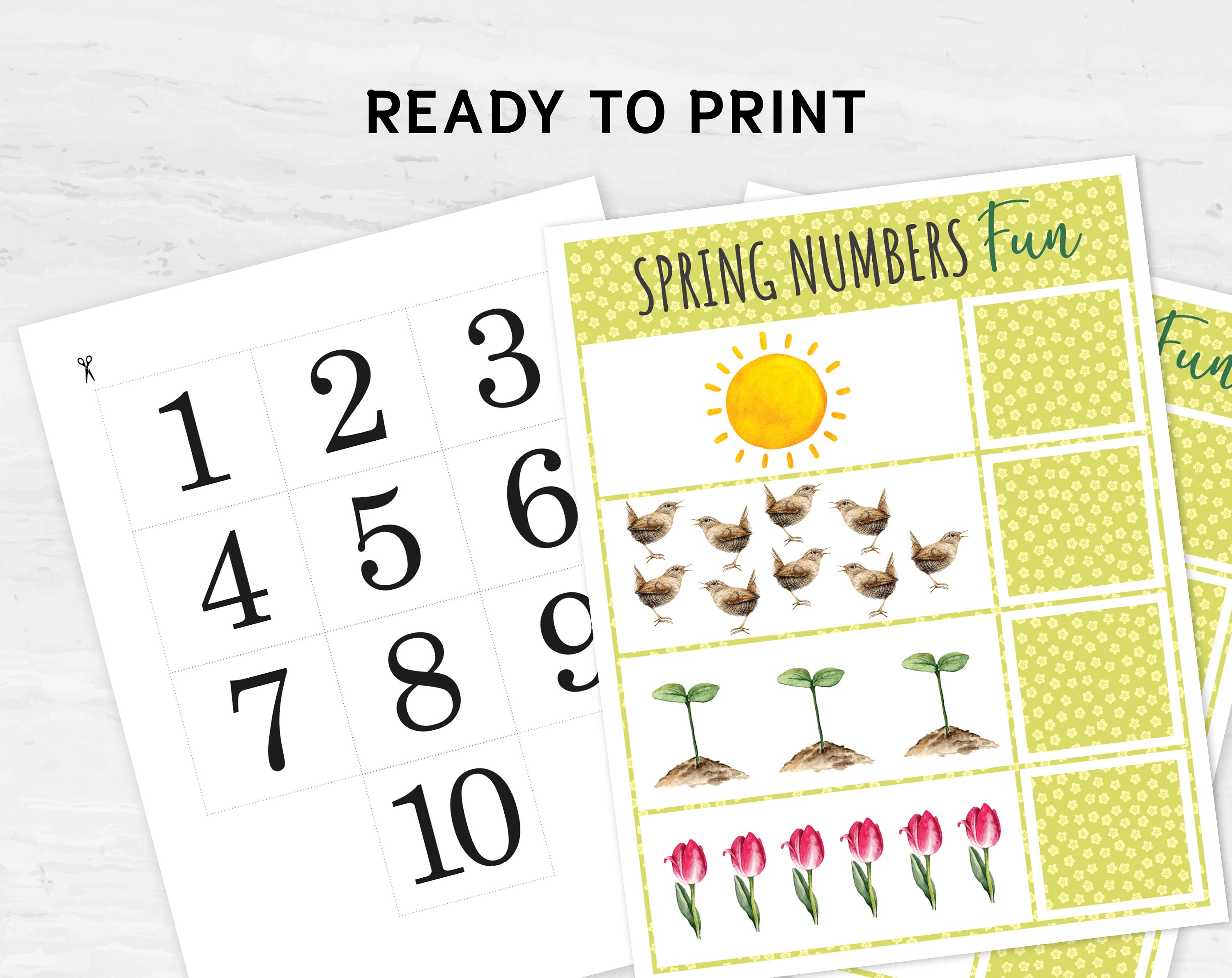 SPRING Numbers Count & Match Activity. Printable Counting Game ...