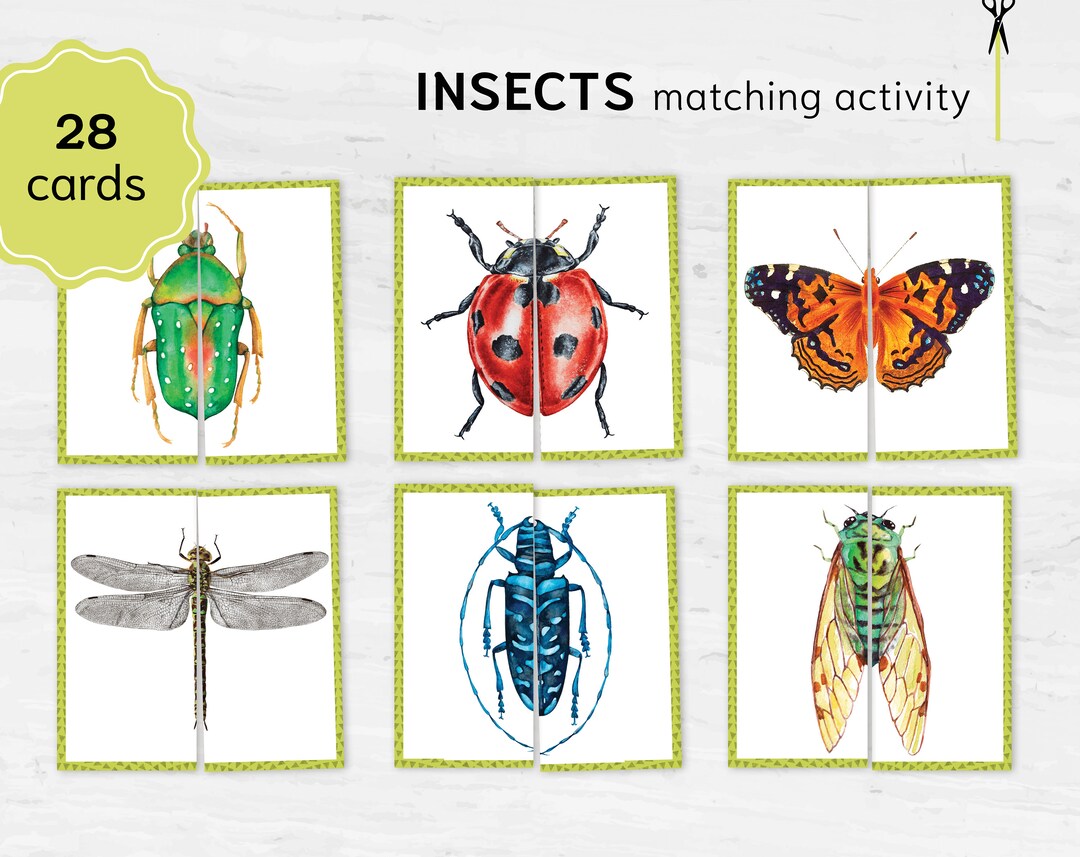 Insects Symmetry Matching Puzzle: Montessori Toddler Activity (digital ...