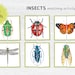 Crab 2D Shape Matching Clip Cards | Printable Math Activity for ...
