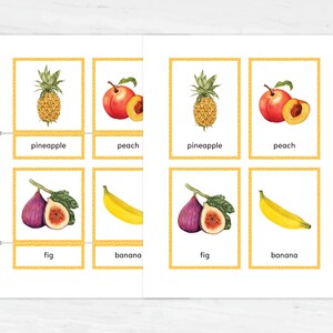 Watercolor Fruit Flashcards - Montessori Vibrant Learning Set ...