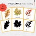 Insects Shadow Matching Cards. Montessori-based Learning Activity. - Etsy