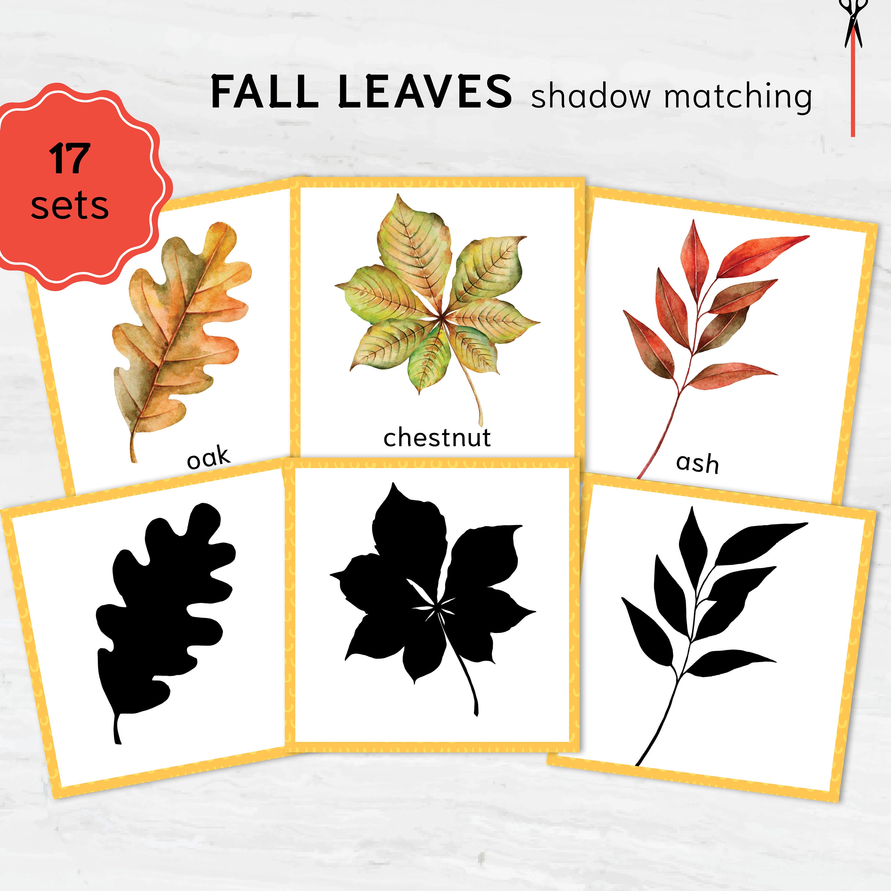 Autumn Leaves Shadow Matching Cards. Montessori-based Leaf - Etsy