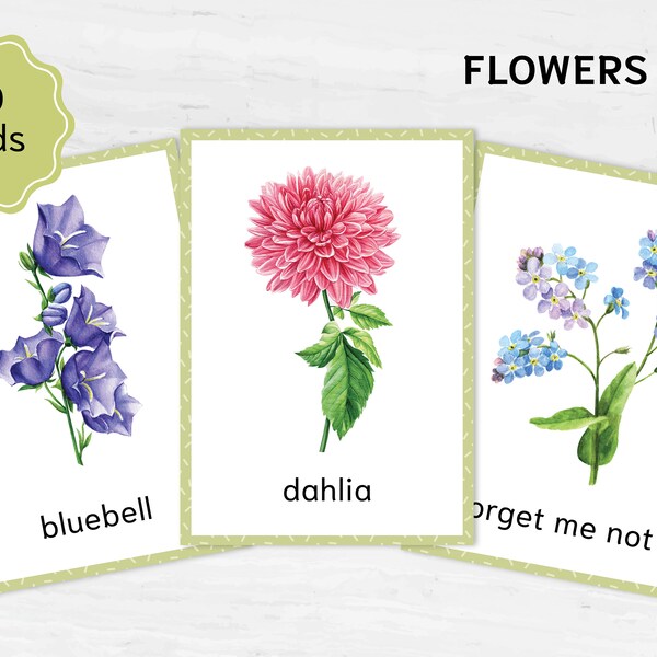 Printable Flashcards - Etsy