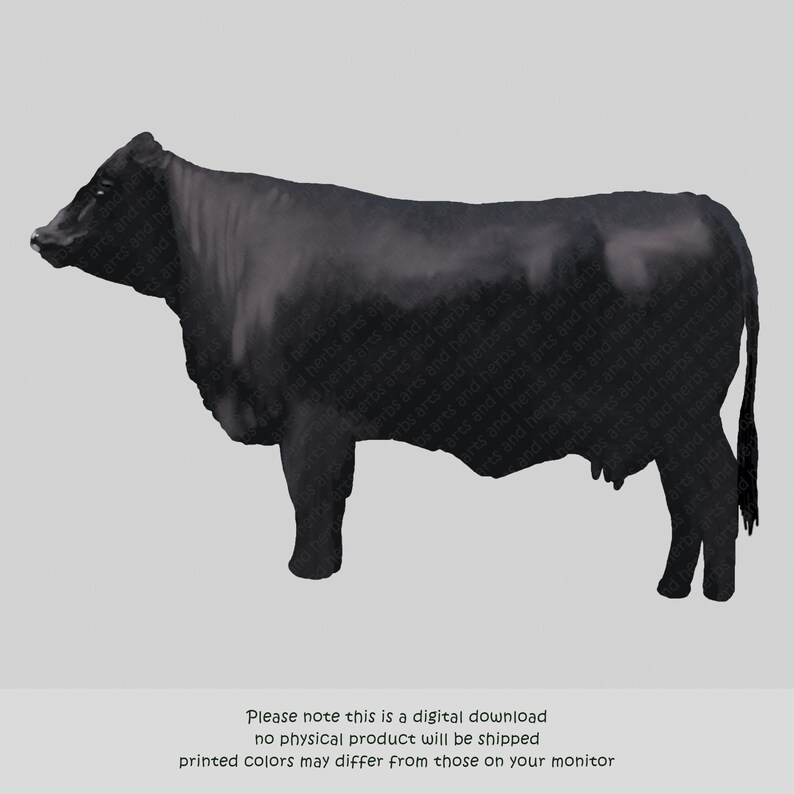 Black Angus Png Patch - Etsy