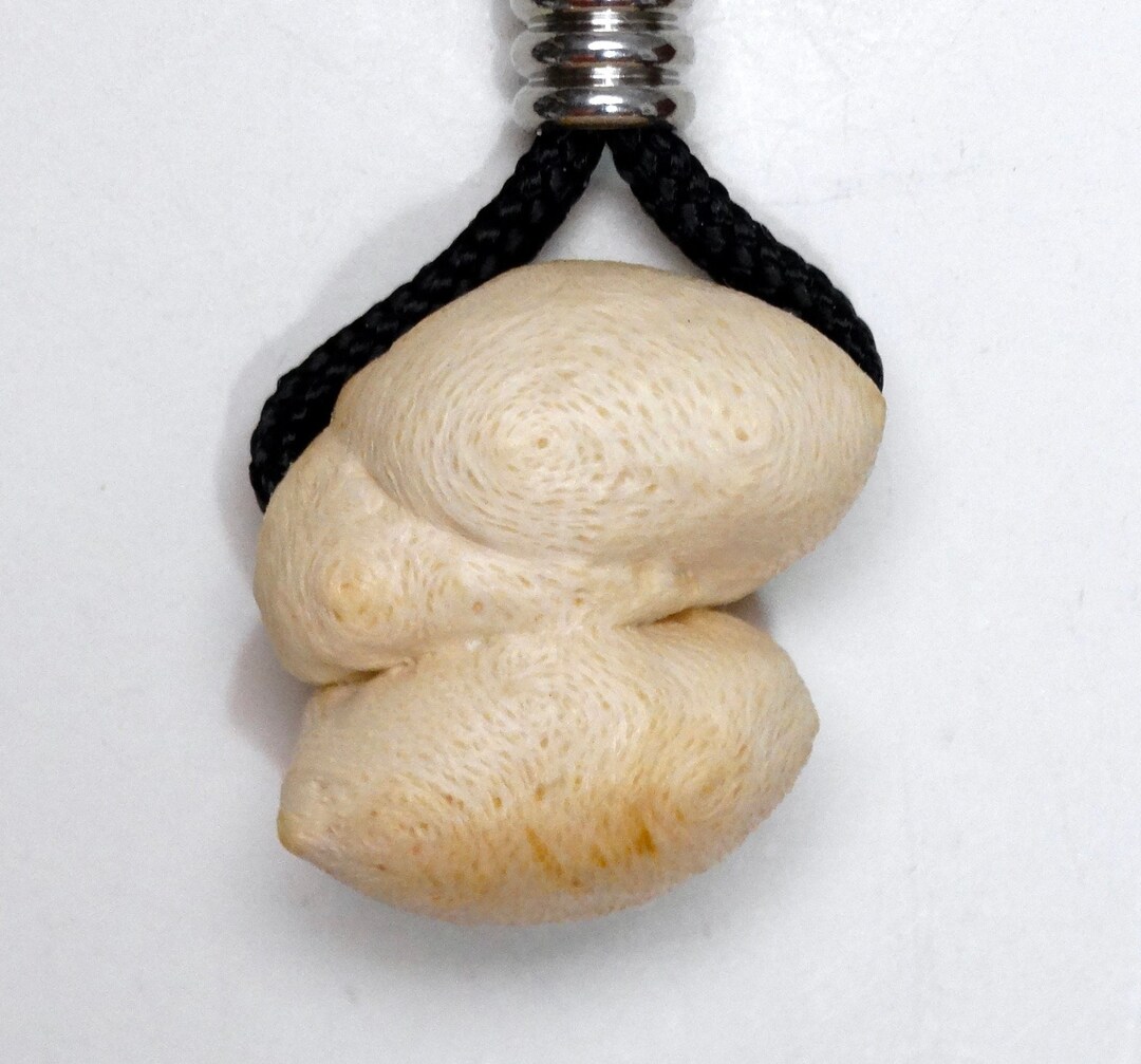 BEECH - Treble Beech Tree Bead Made of Fresh Wood on Necklace Paracord ...
