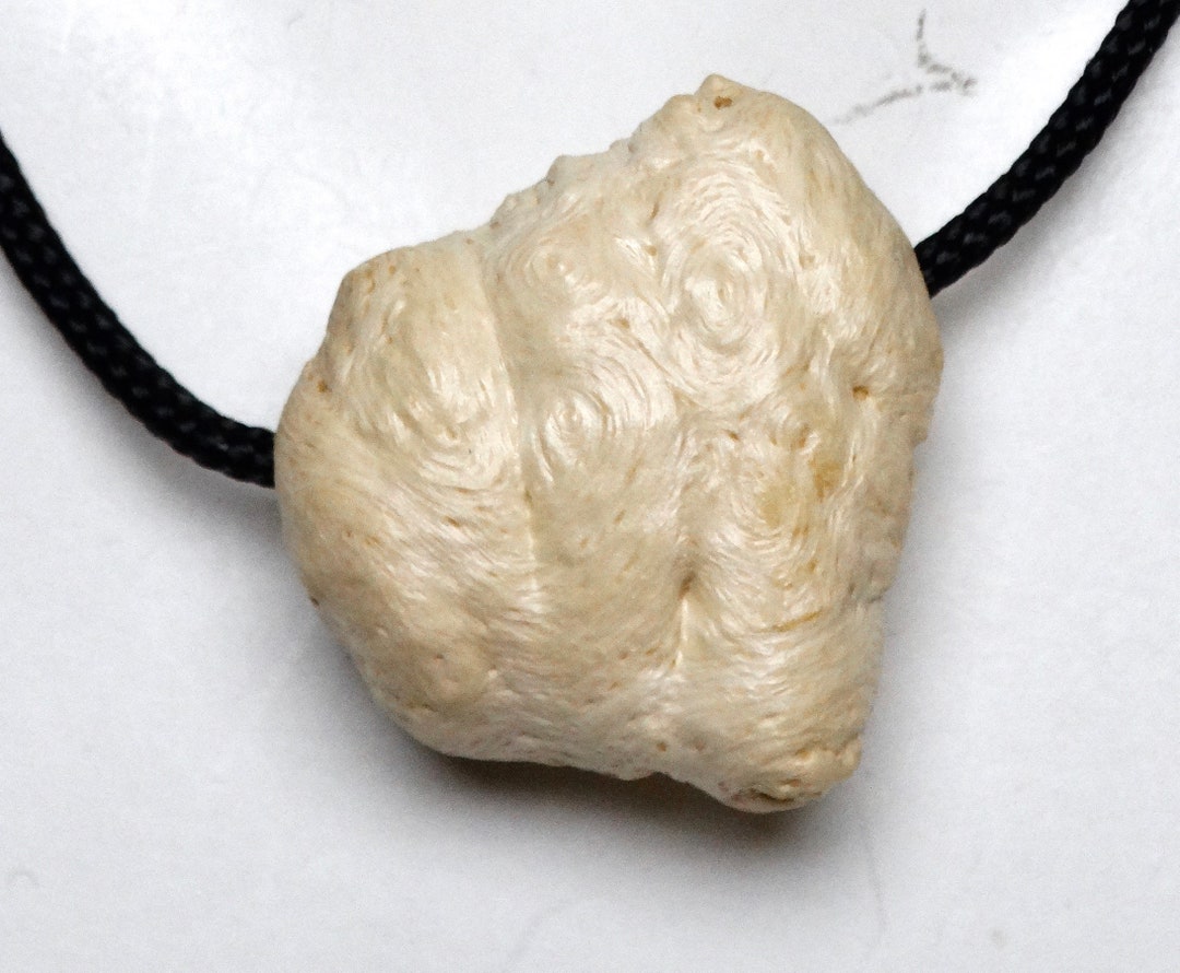 BEECH - Very Noble Beech Tree Bead Made of Fresh Wood on a Necklace ...
