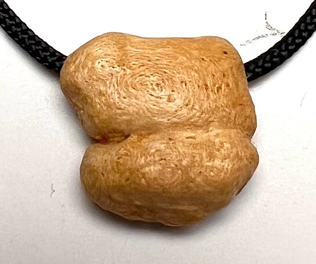 BEECH - Beautiful, Beautifully Shaped Beech Tree Bead on a Paracord ...