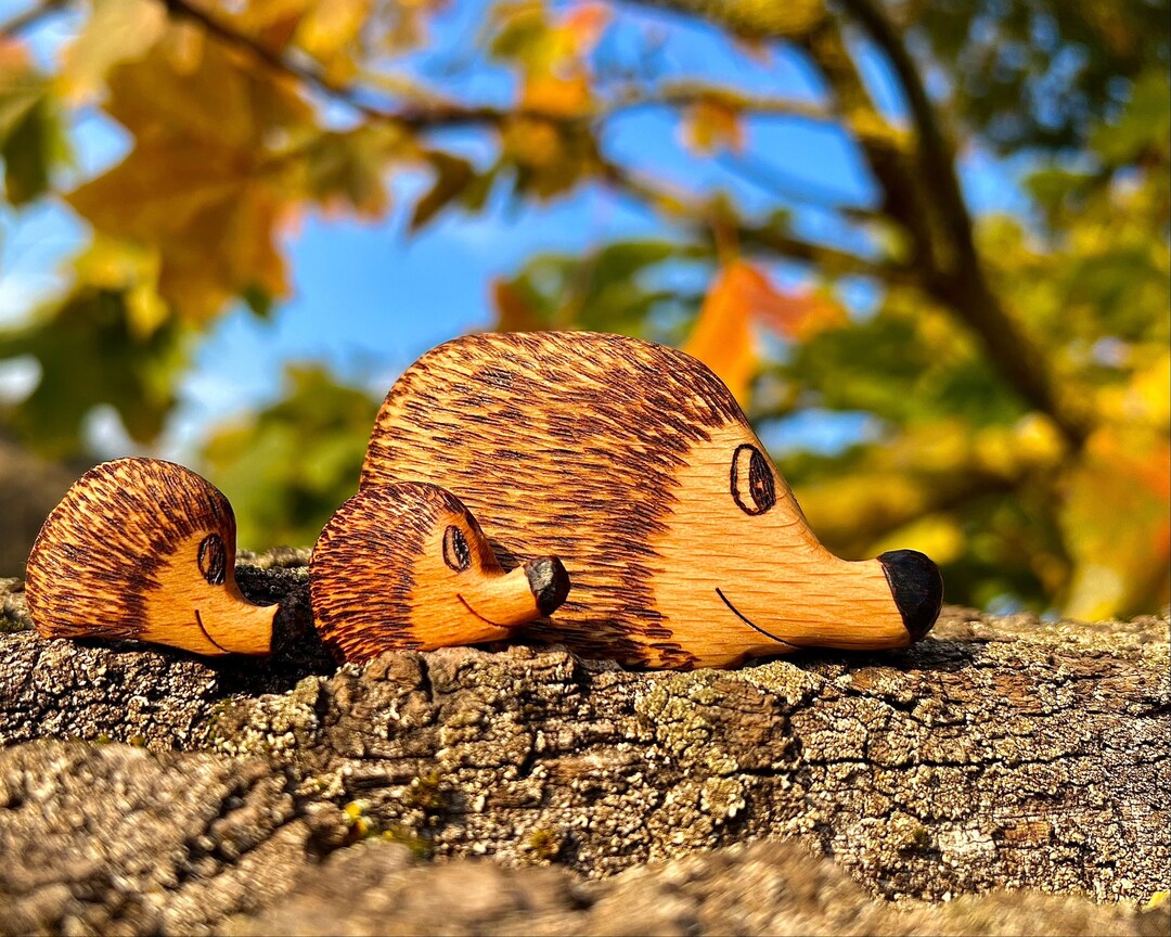 Hedgehog Family Hedgehog Parents and Baby Hedgehog Collectibles 100% ...