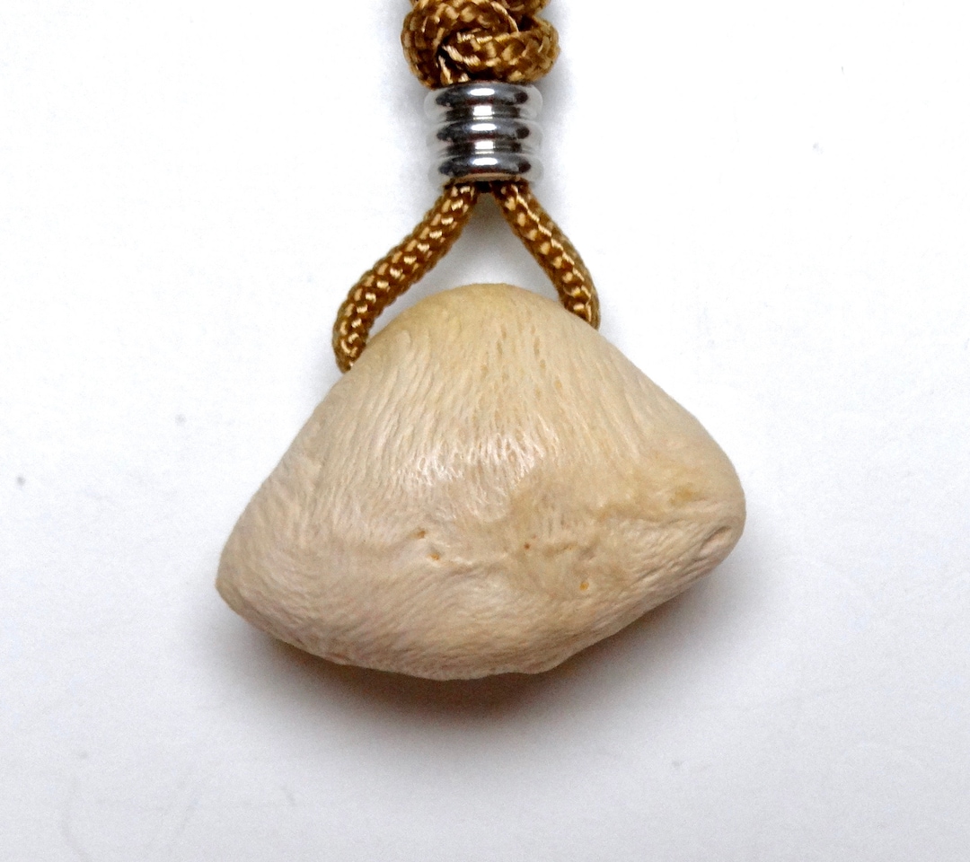 BEECH - Very Noble Beech Tree Bead Made of Fresh Wood on a Necklace ...