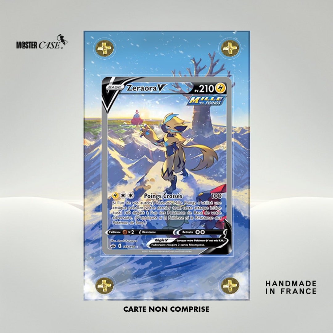 Zeraora V 166/198 Presentation Display Case - Etsy