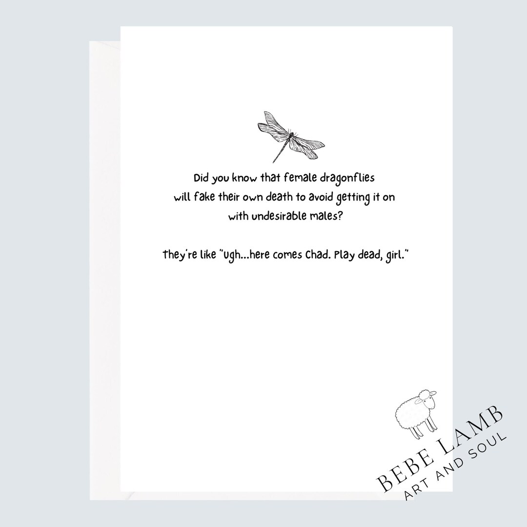 Female Dragonflies Play Dead Funny Greeting Card | 5 X 7 | Quirky ...