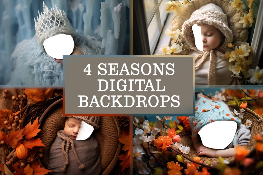 4 Newborn Digital Backdrops Seasons, 4 Seasons, Spring, Summer, Fall ...