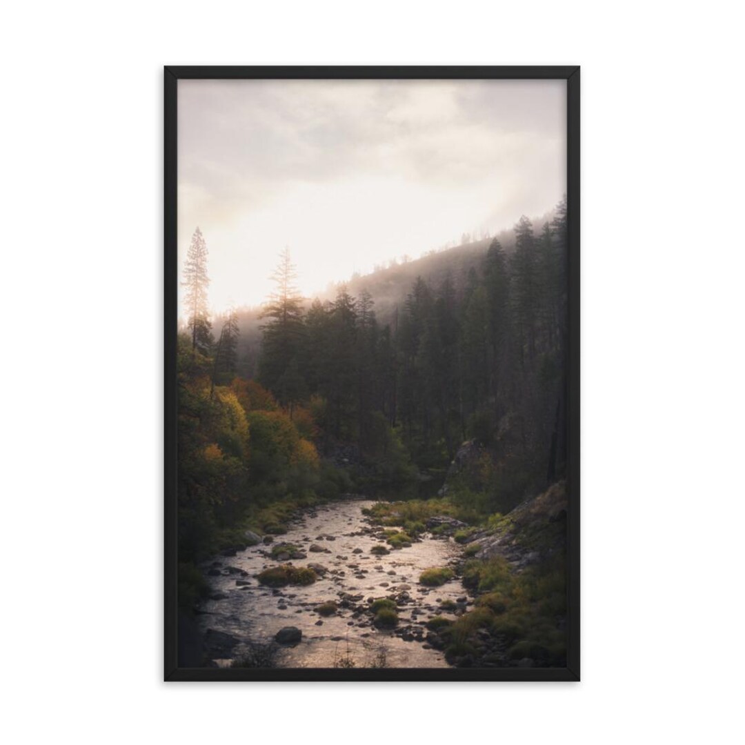 Sunlit Forest Creek Photography Print - Tahoe National Forest Wall Art ...