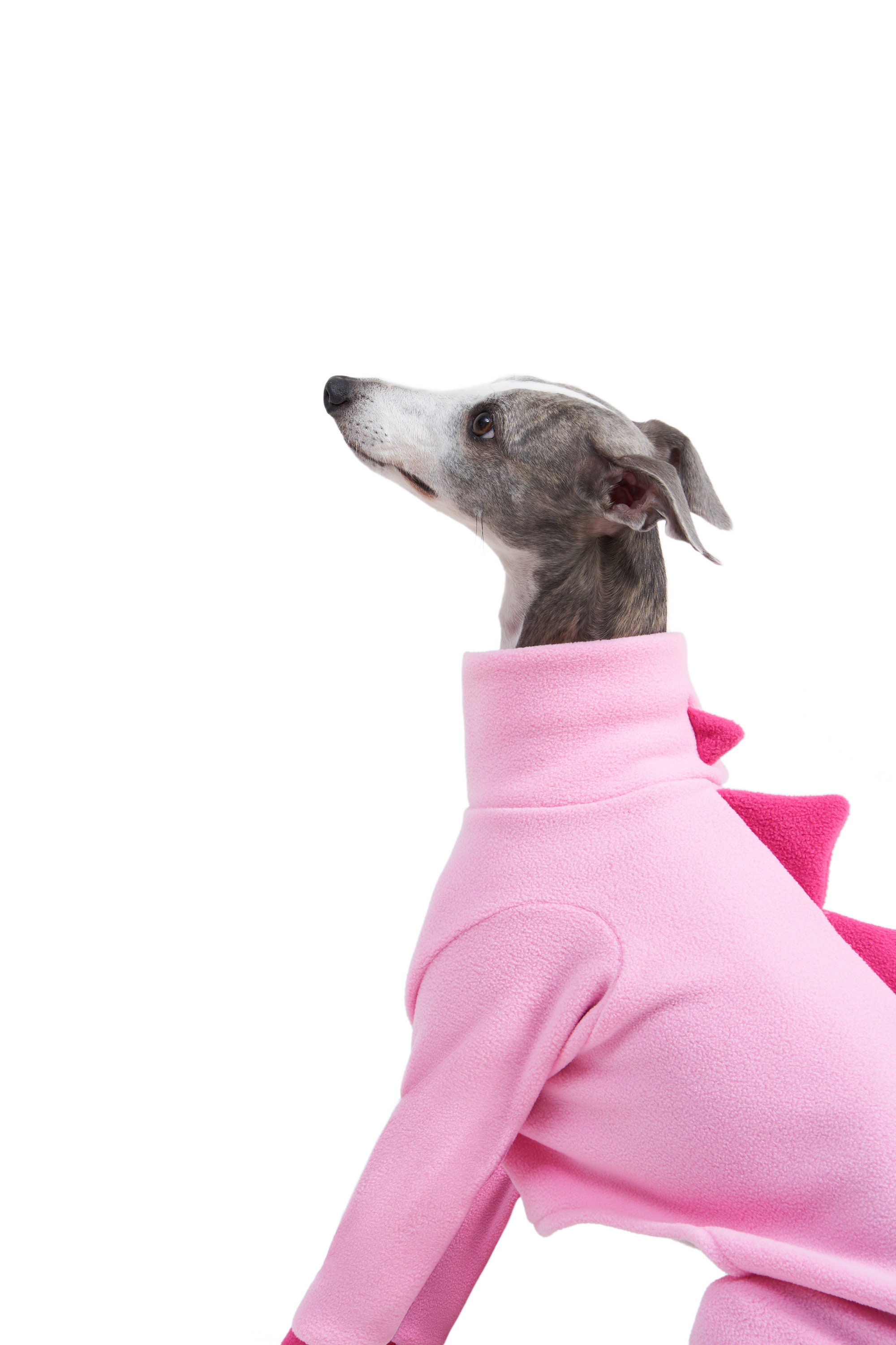 Italian Greyhound Whippet Lurcher Galgo Dog Clothing Warm - Etsy