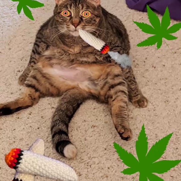 Catnip Crochet - Etsy