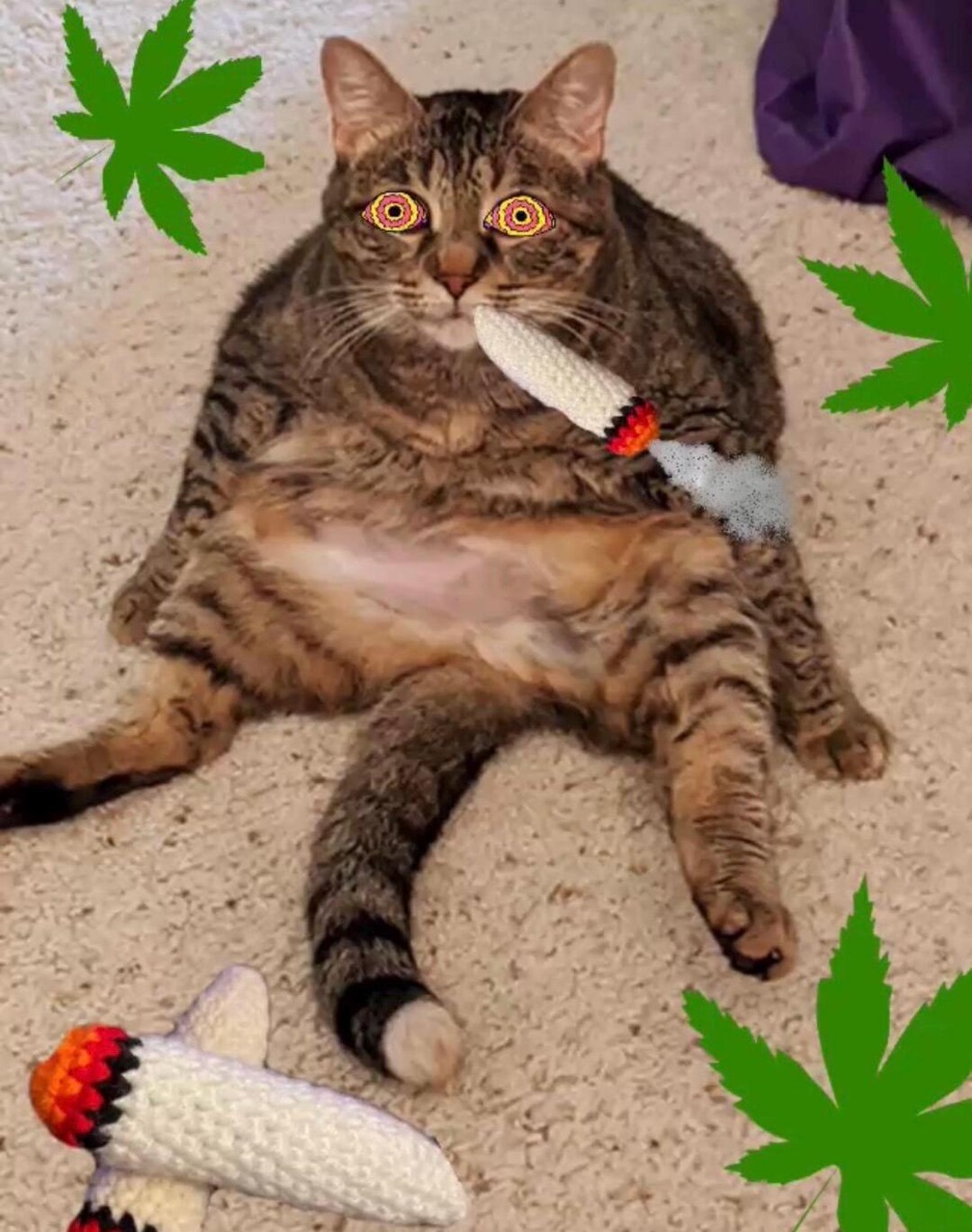 Catnip Joint | Cat Toy | Crocheted Doobie | Catnip | Weed Toy| Gifts ...