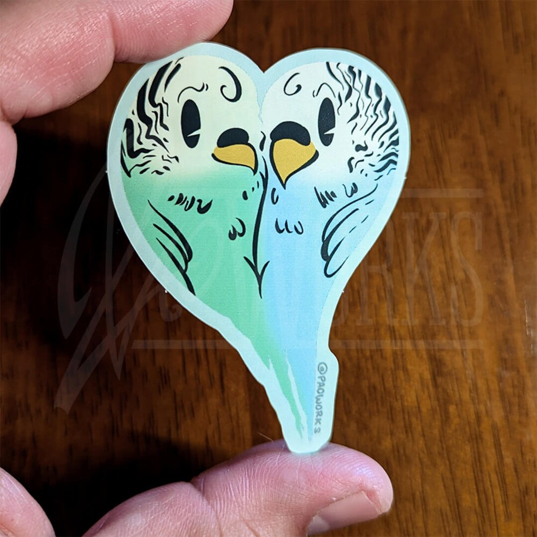 Cute "pair O' Keets" in Love Parakeet Budgerigar Monk Bird Lovebirds ...