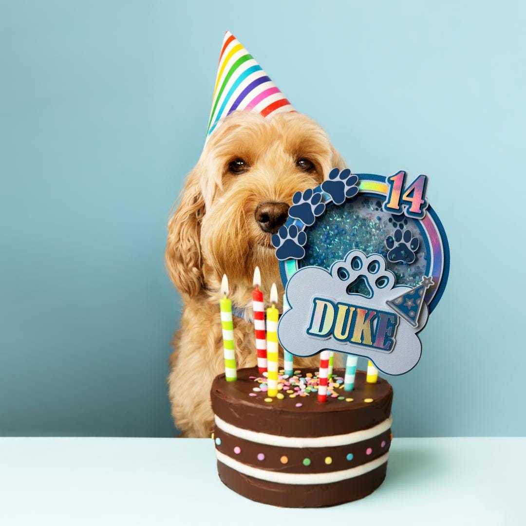 Dog Cake Topper, Puppy Cake Topper, Custom Dog Cake Topper, Barkday ...