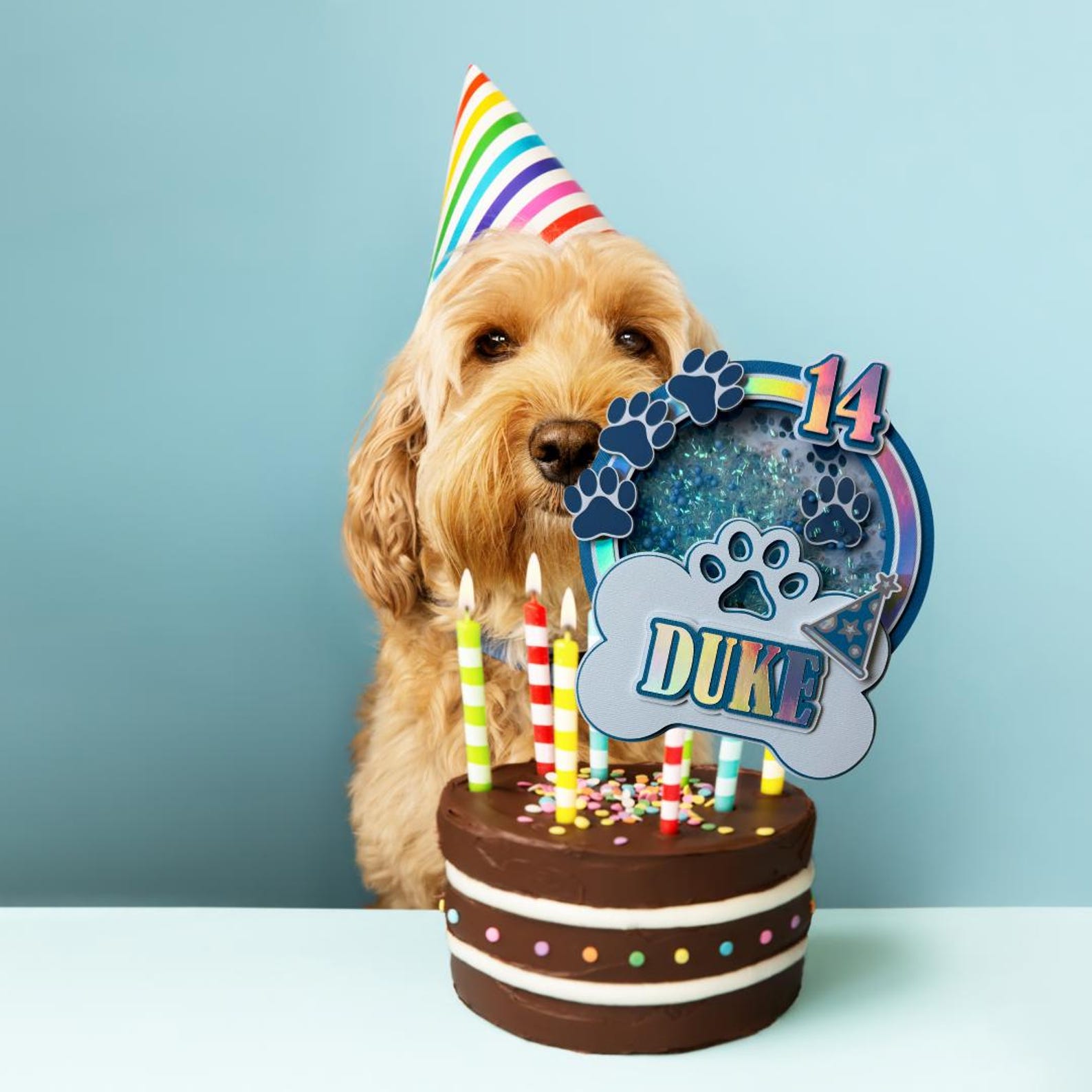 Dog Cake Topper, Puppy Cake Topper, Custom Dog Cake Topper, Barkday ...