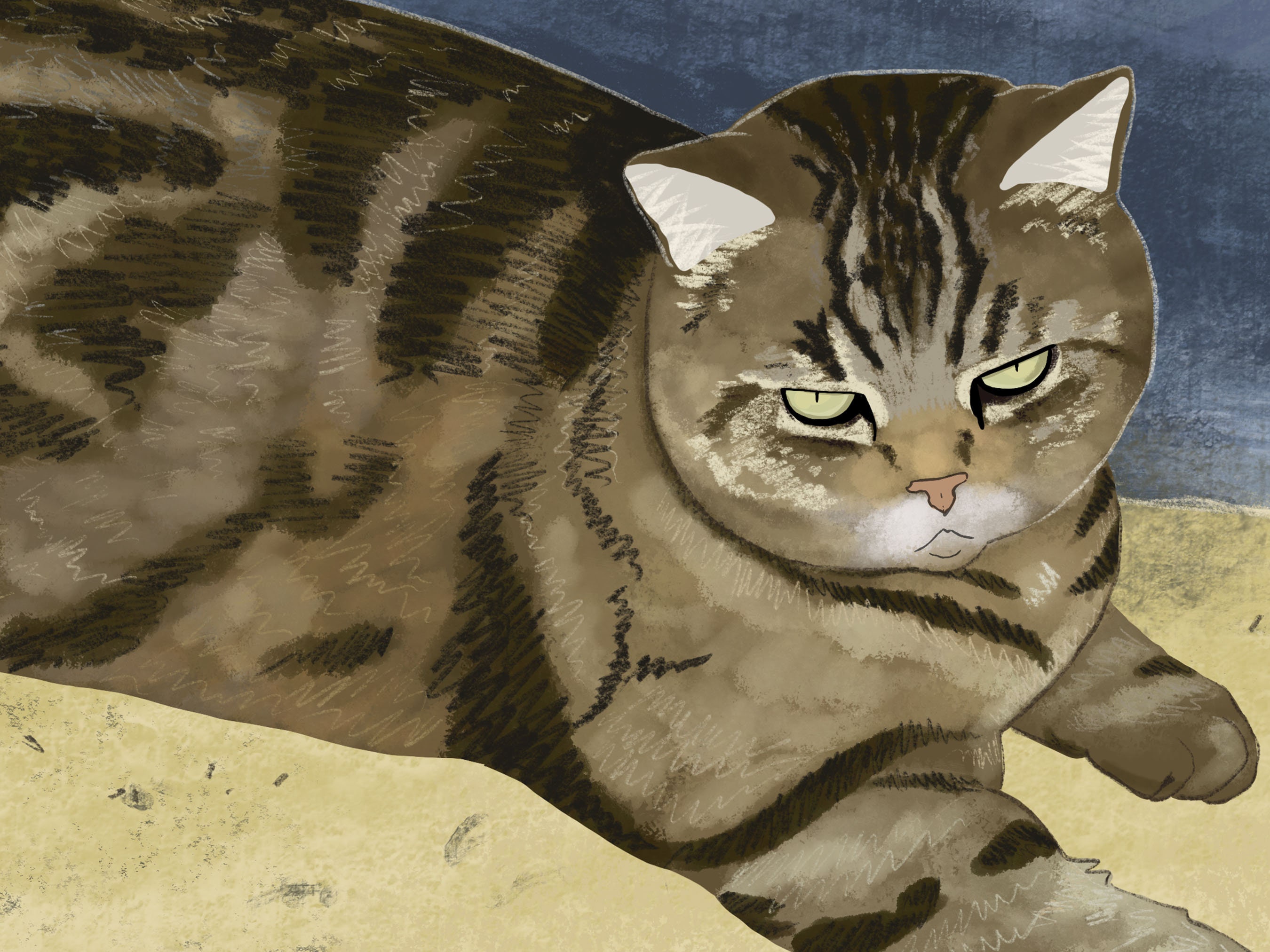 Tabby Cat Print, Cat Decor, Tabby Cat Artwork, Cat Person Gift, Tabby ...