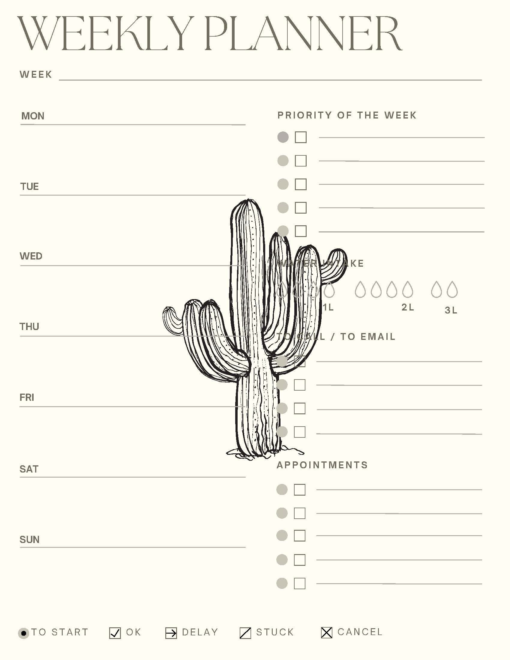 Cactus Weekly Planner - Etsy