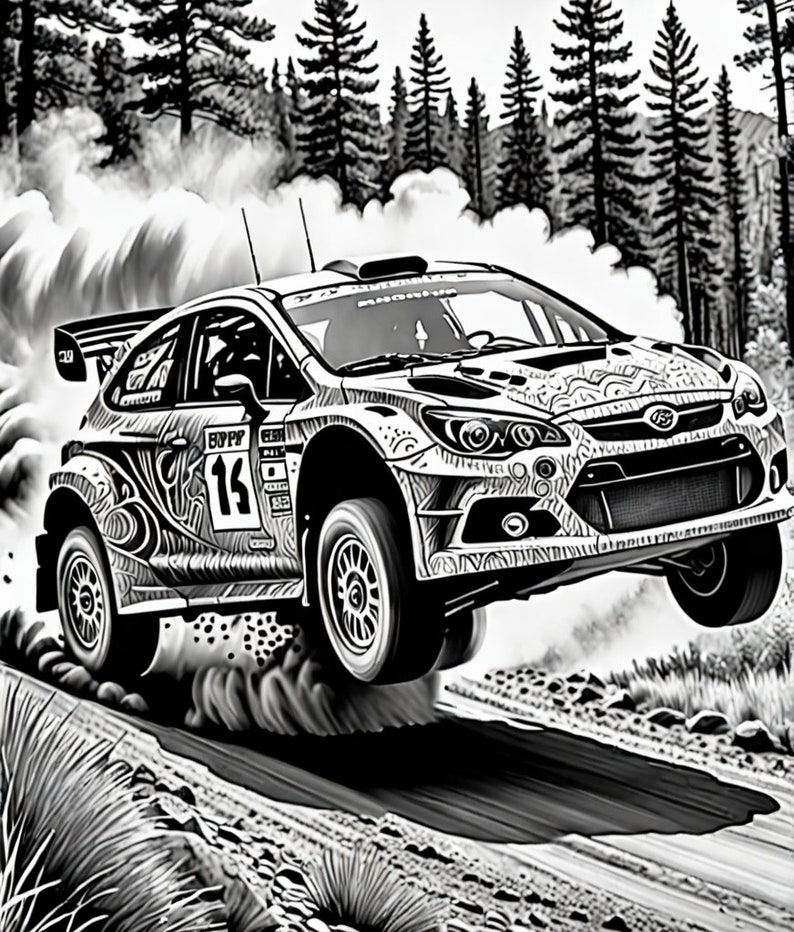 Rally Car Racing Adventure Coloring Page - Etsy