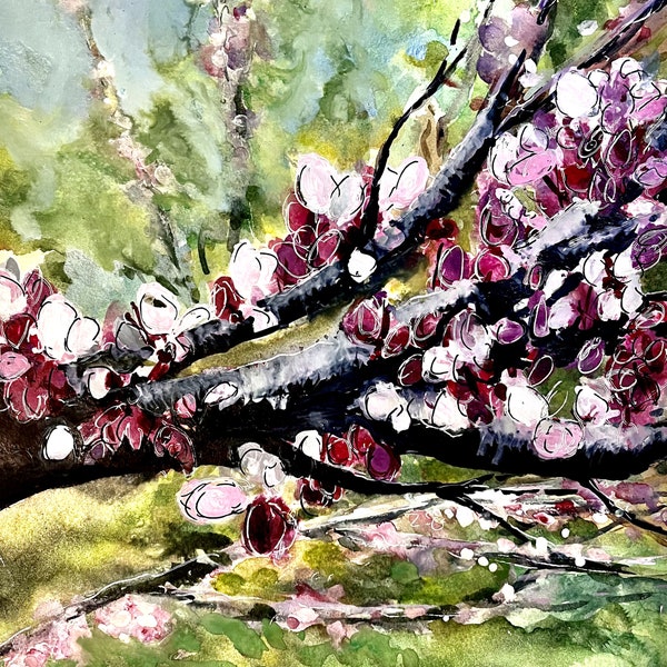 Redbud Tree - Etsy
