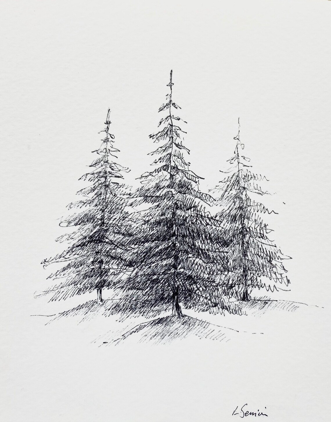 Trees Art Print - Tree Ink Sketch Print - Pine Tree Drawing ...