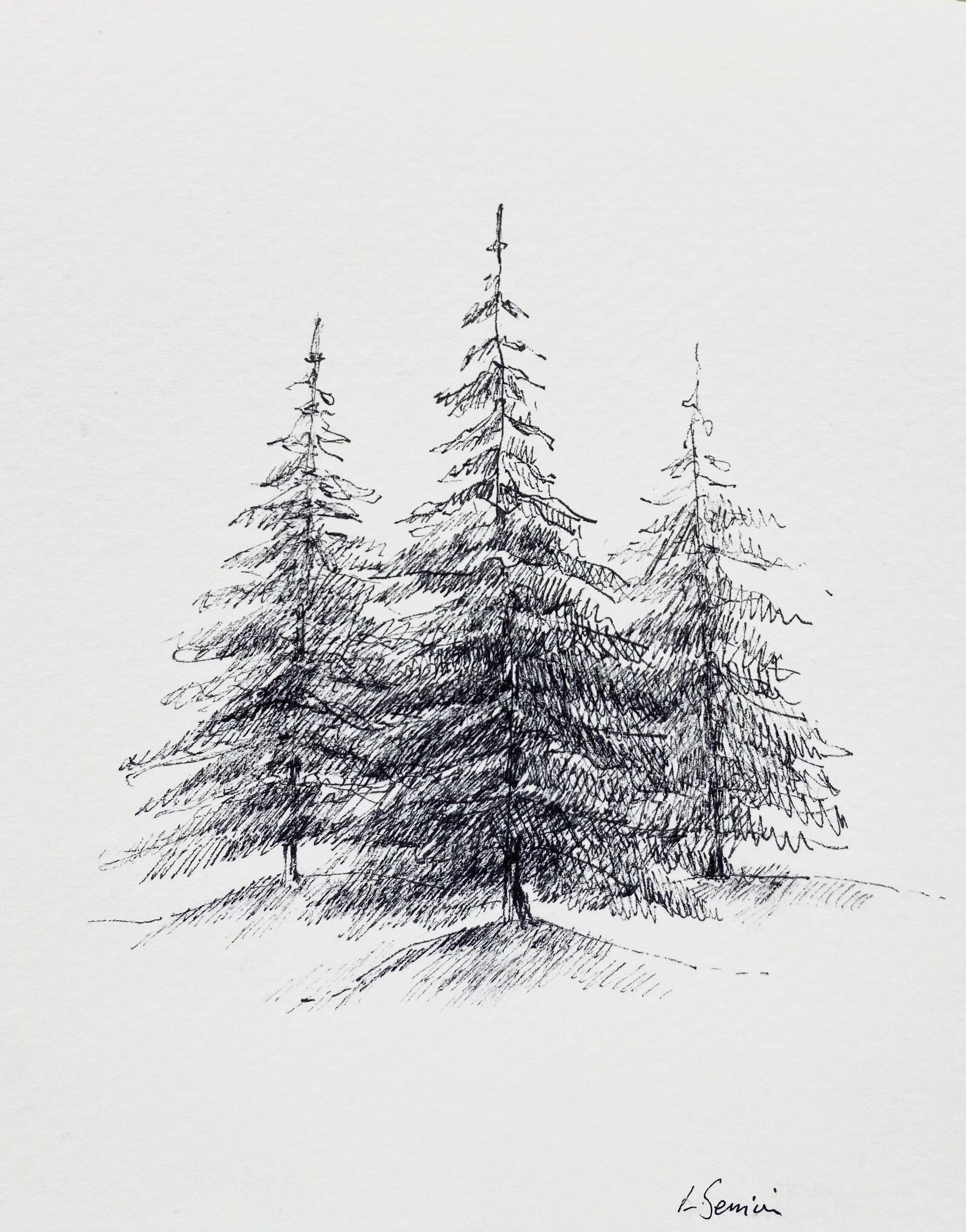 Trees Art Print - Tree Ink Sketch Print - Pine Tree Drawing ...