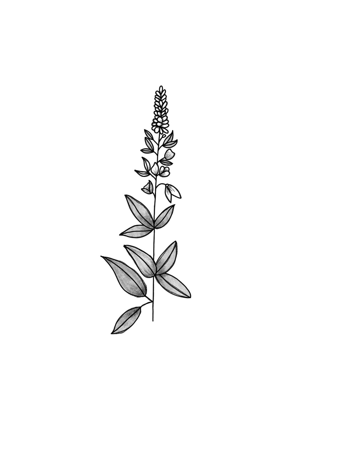Wildflower Tattoo Design - Etsy