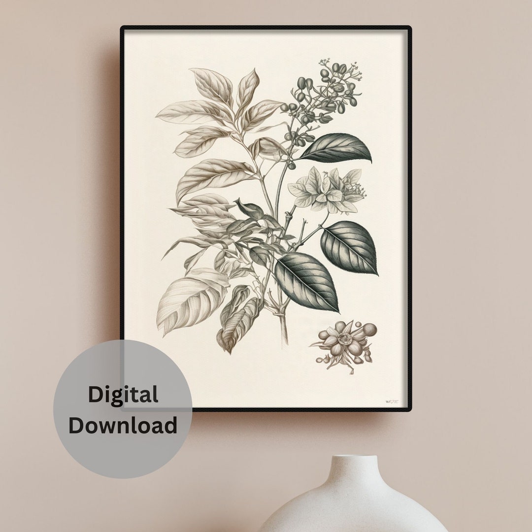 Antique Botanical Wall Art Printable, Rustic Vintage Floral Wall Décor ...