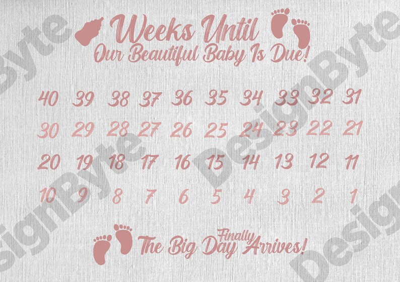Weeks Until Baby is Due A4 Printable Countdown, Unisex. - Etsy