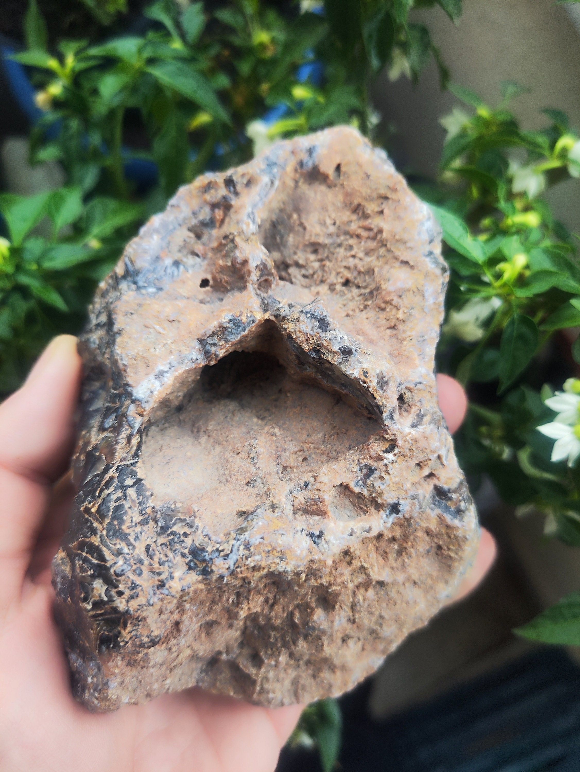 Rare Black Botryoidal Agate Geode - Etsy
