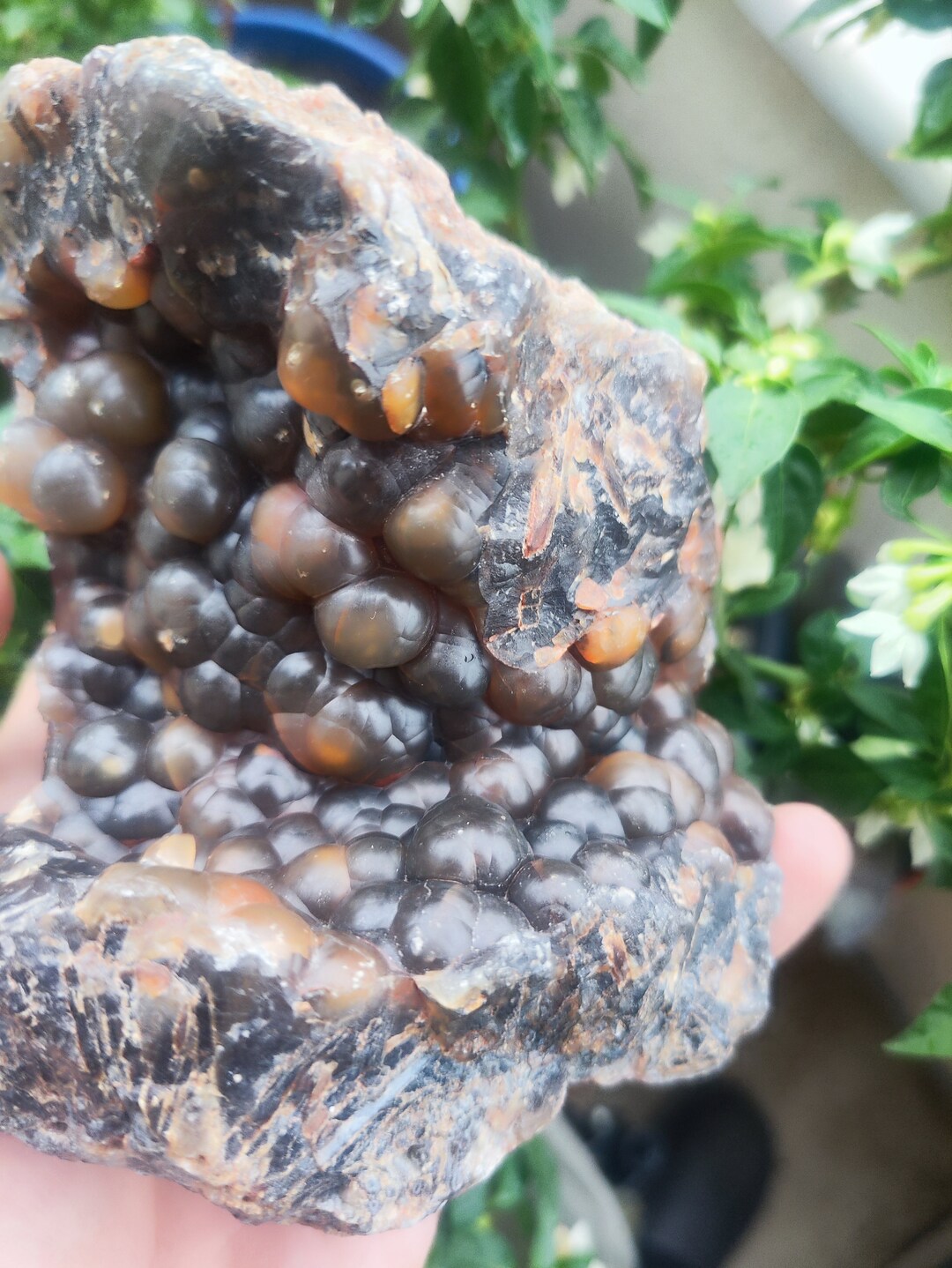 Rare Black Botryoidal Agate Geode - Etsy