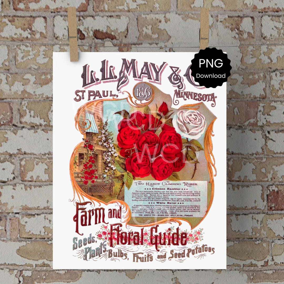 Vintage Seed Flower Advertisement Sign PNG Sublimation Pillow Transfer ...