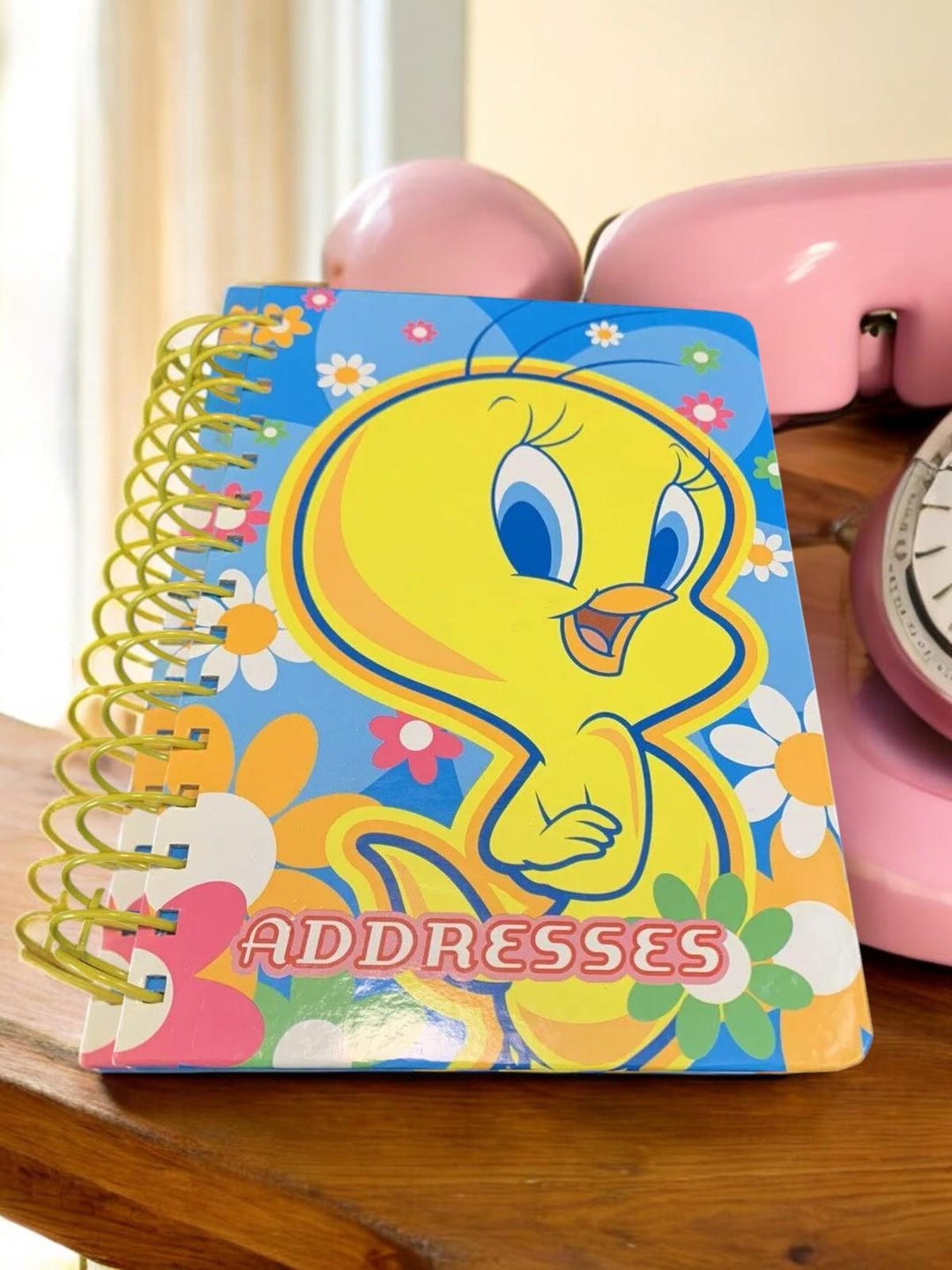 Vintage 2001 Looney Tunes Cartoon Tweety Bird Spiral Hardcover Address ...