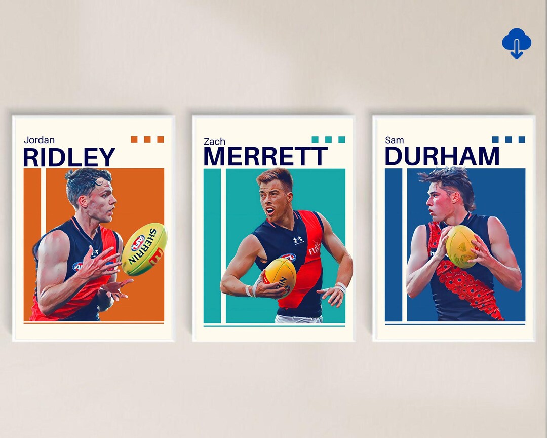 Essendon Bombers Football Club Digital Download Instant Printables for ...