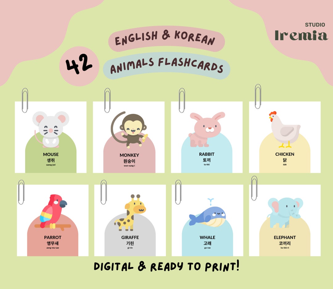42 Korean Animals Flash Cards, Adult Learning Korean, Bilingual ...