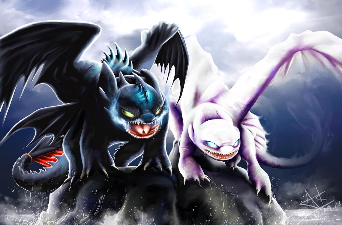 Dynamic Duo - Toothless and Light Fury Poster - Etsy