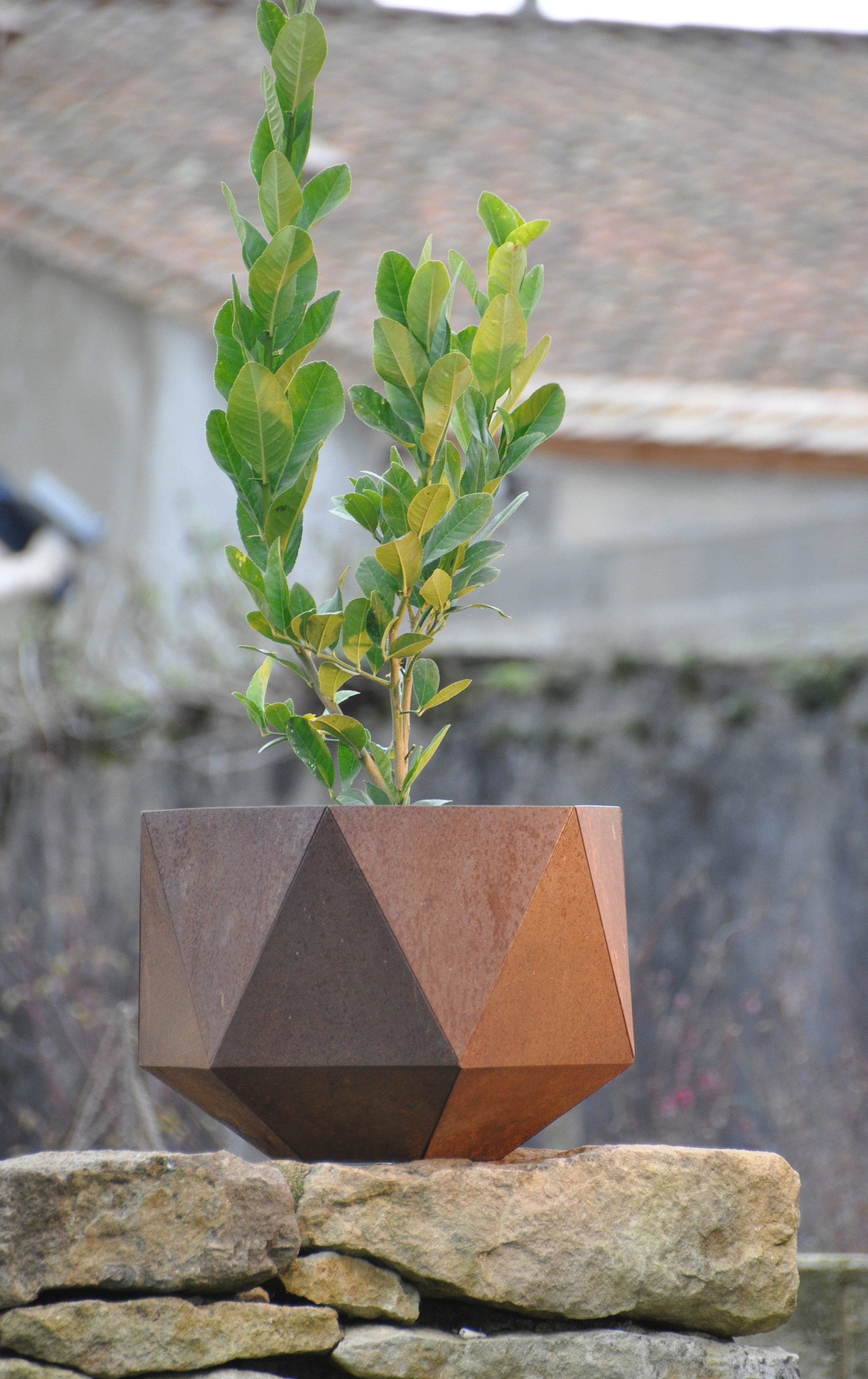 Hexagonal Planting Pot, Corten Planter - Etsy
