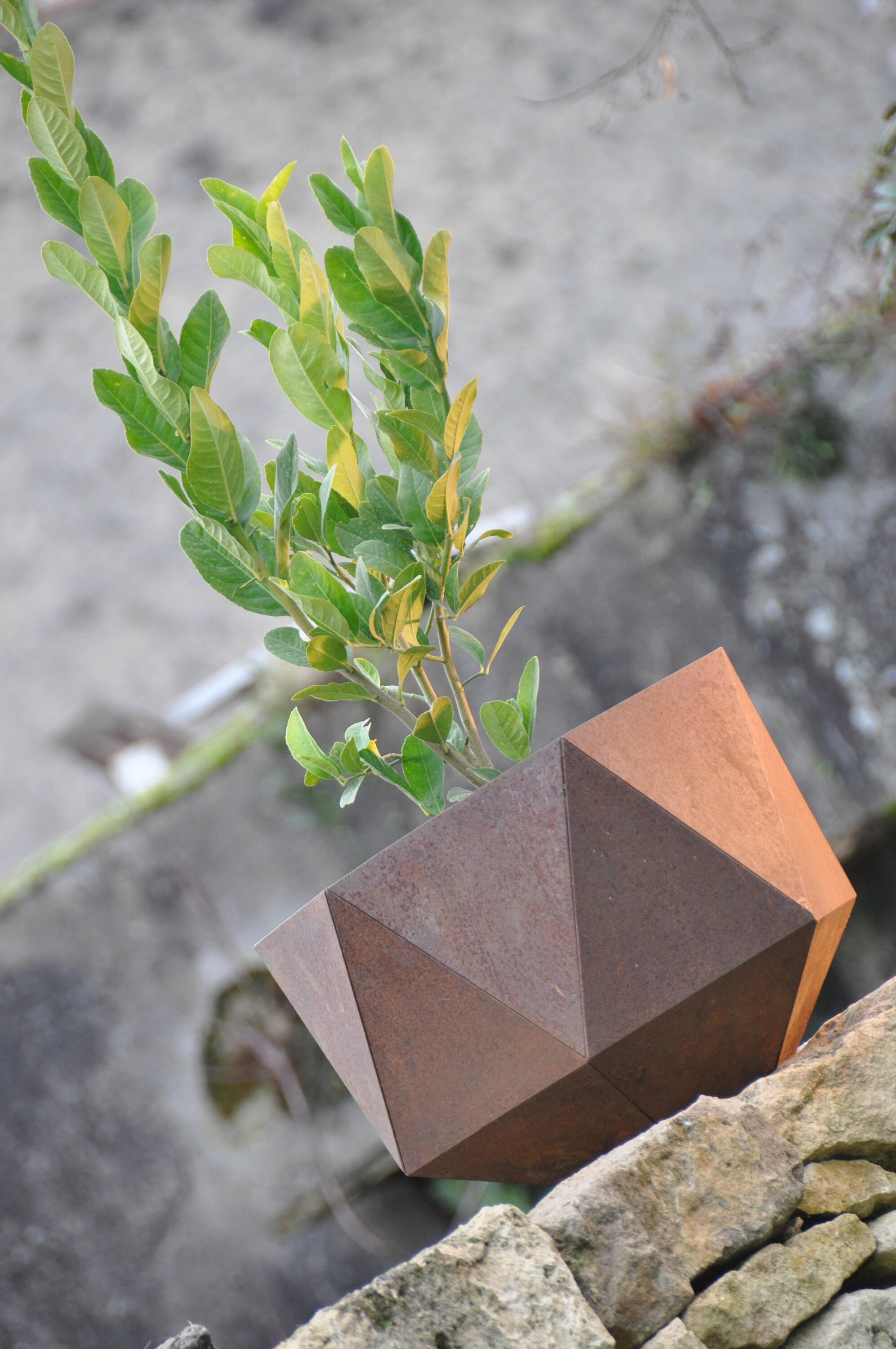 Hexagonal Planting Pot, Corten Planter - Etsy