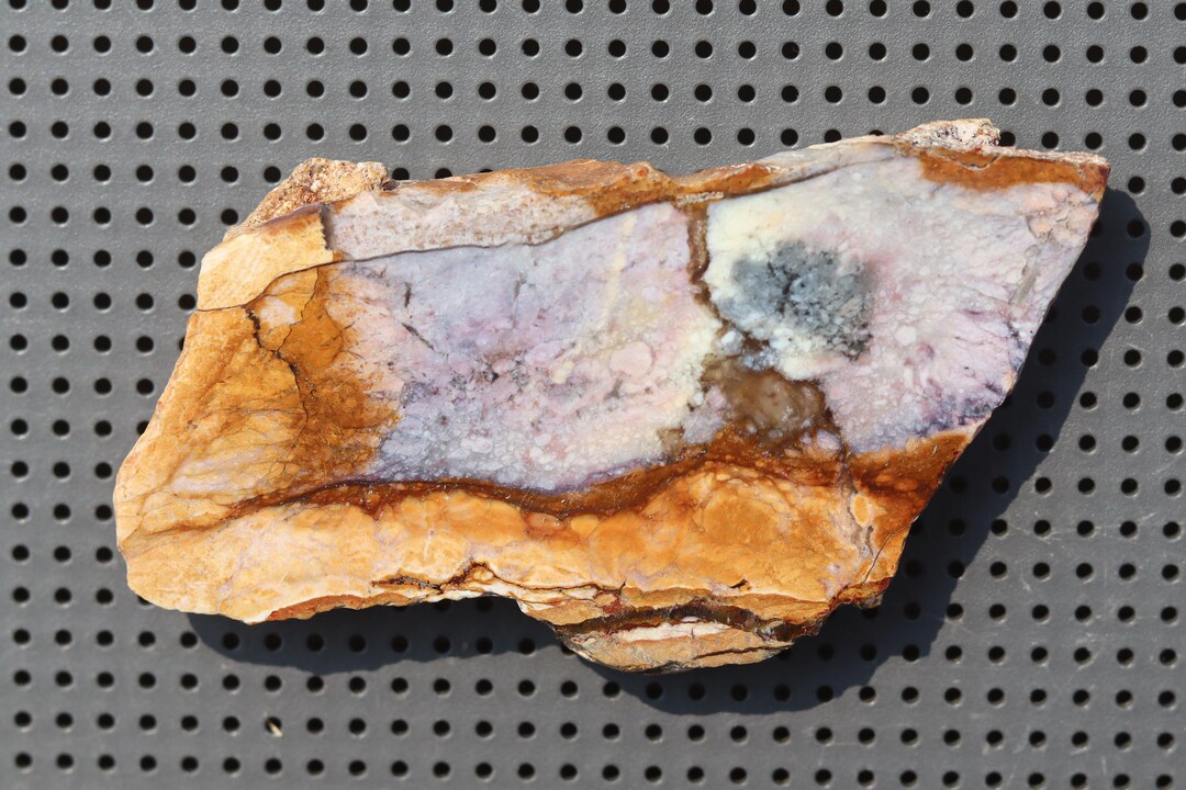 PINK Opalized Petrified Wood Polish Slab Rockhounding Gift Gemstone ...