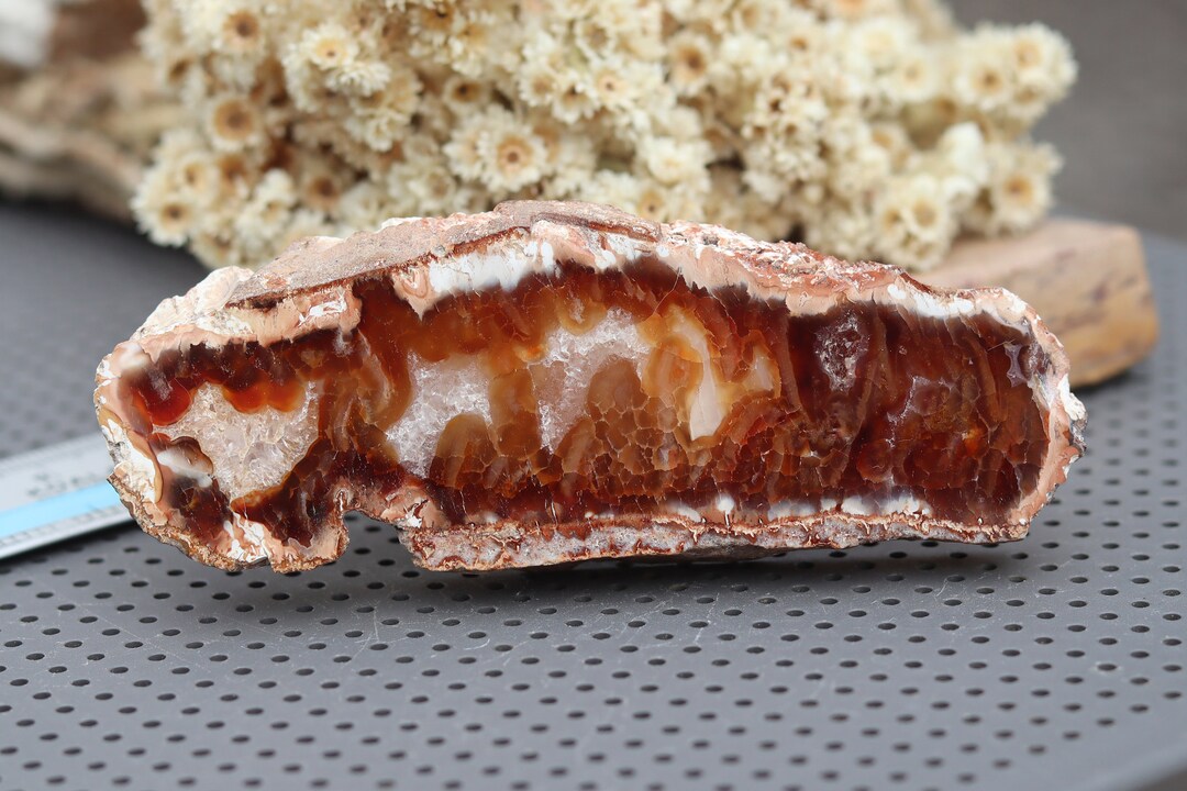 Plume Agate Polish Cut Beautiful Scenic Fire Pattern Agate Indonesia ...