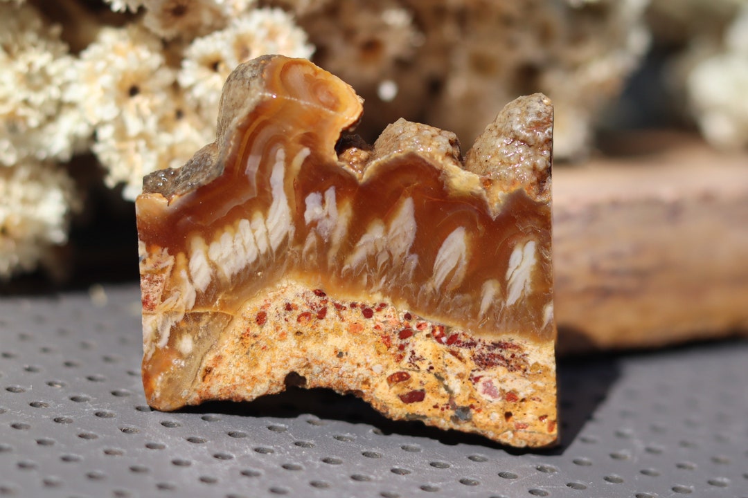 Plume Agate Cut Beautiful Scenic Pattern Agate Indonesia Agate World ...