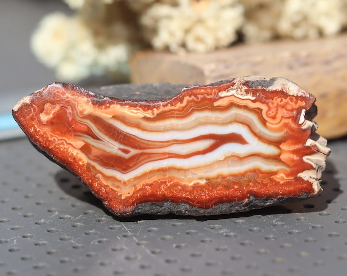 Banded Agate Cut Polish Superb Agate Slice From Indonesia Natural Stone ...